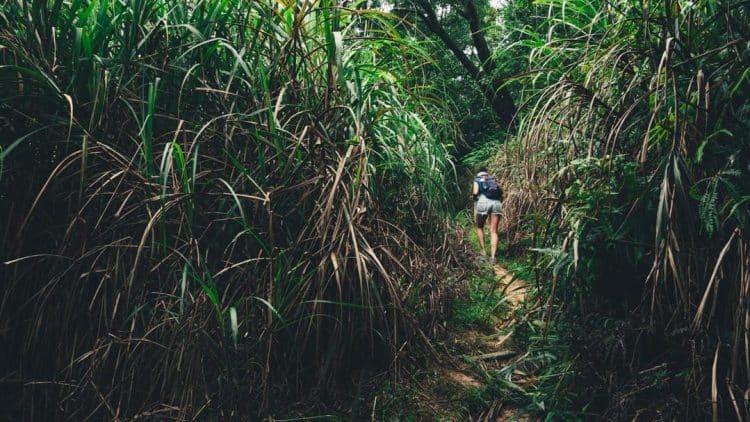Le mouvement slow life : une vie plus apaisée - LCV magazine